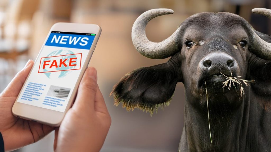 Why is fake news called a "hoax"? The origin of the synonym for fake ...